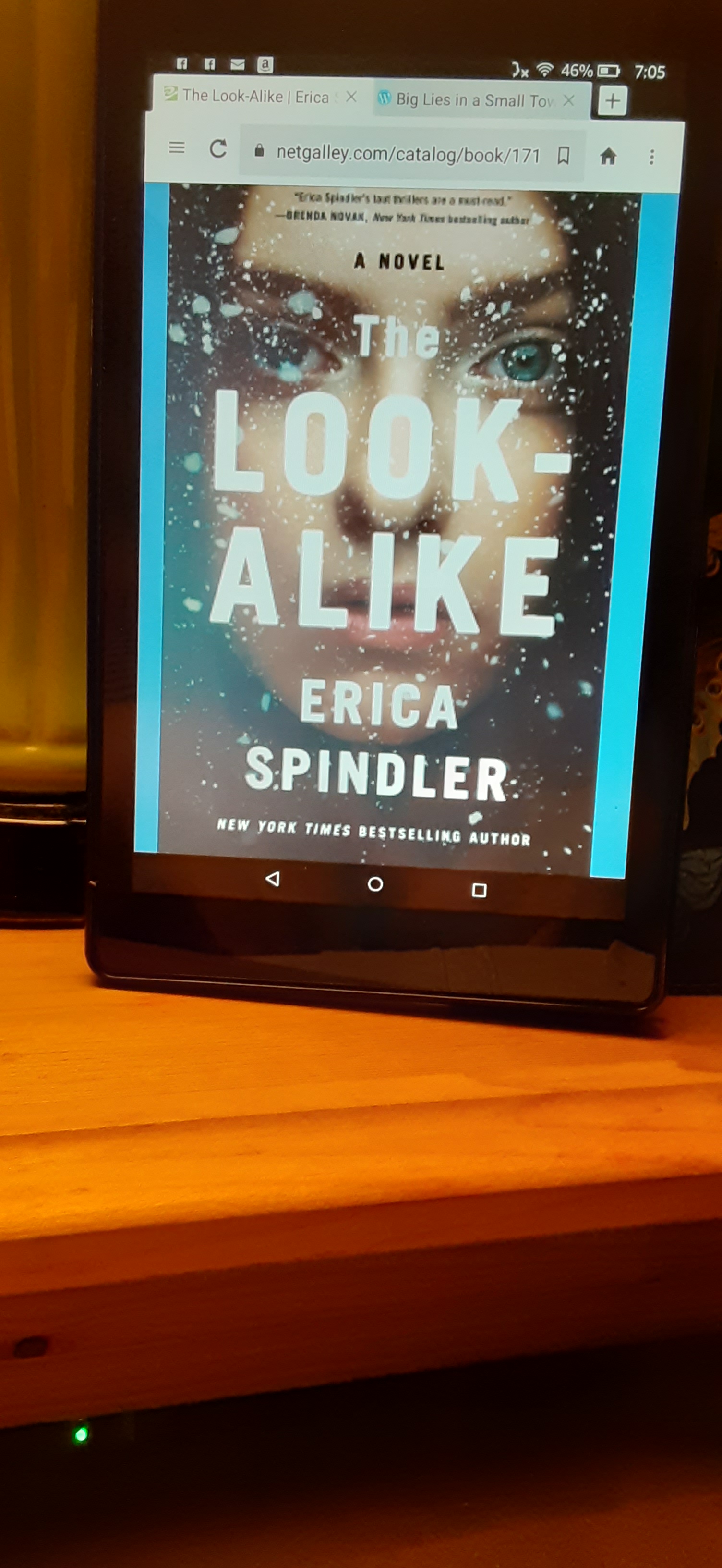 The Look-Alike by Erica Spindler | Kentucky Book Lover